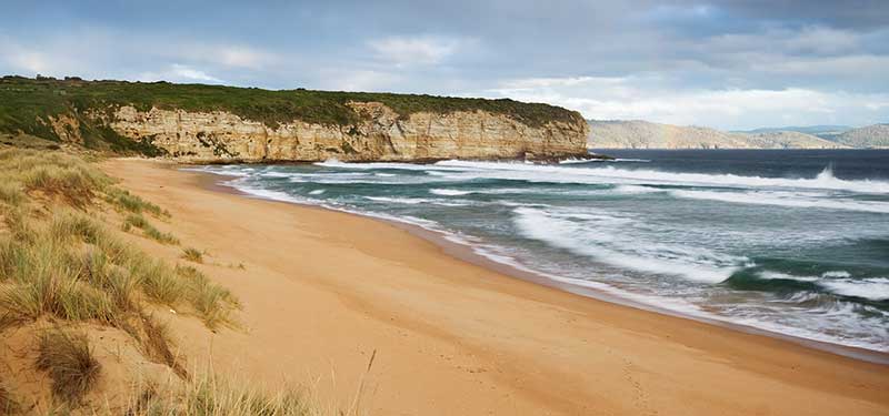 Surfing in Tasmania