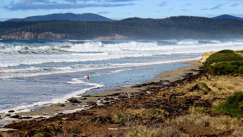Surfing in Tasmania