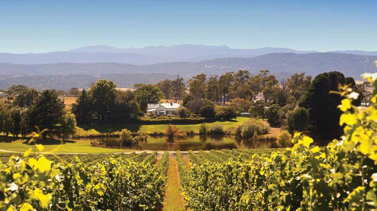 Tamar Valley Wine Region, Tasmania